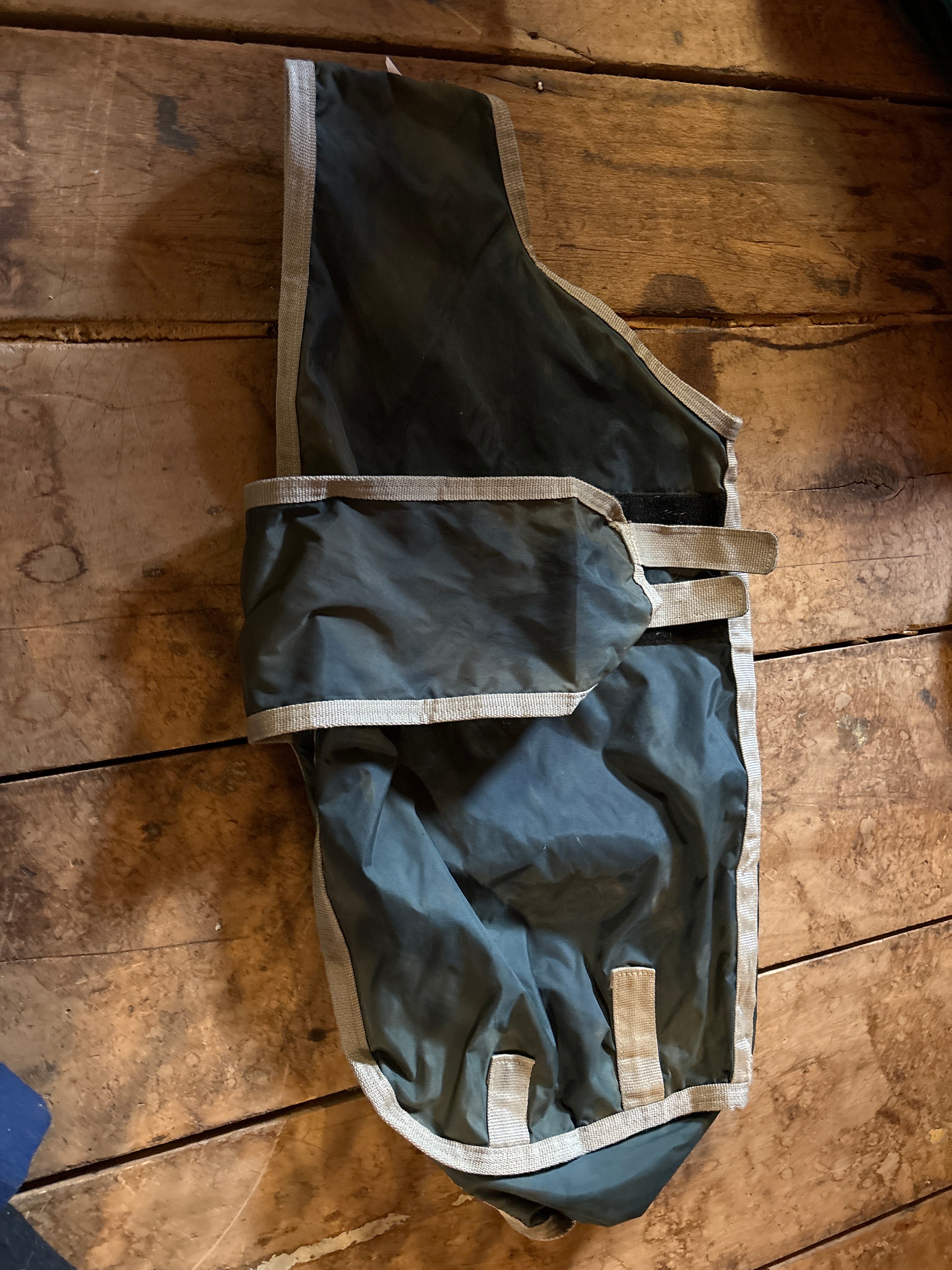 New Arrivals – The Tack Attic