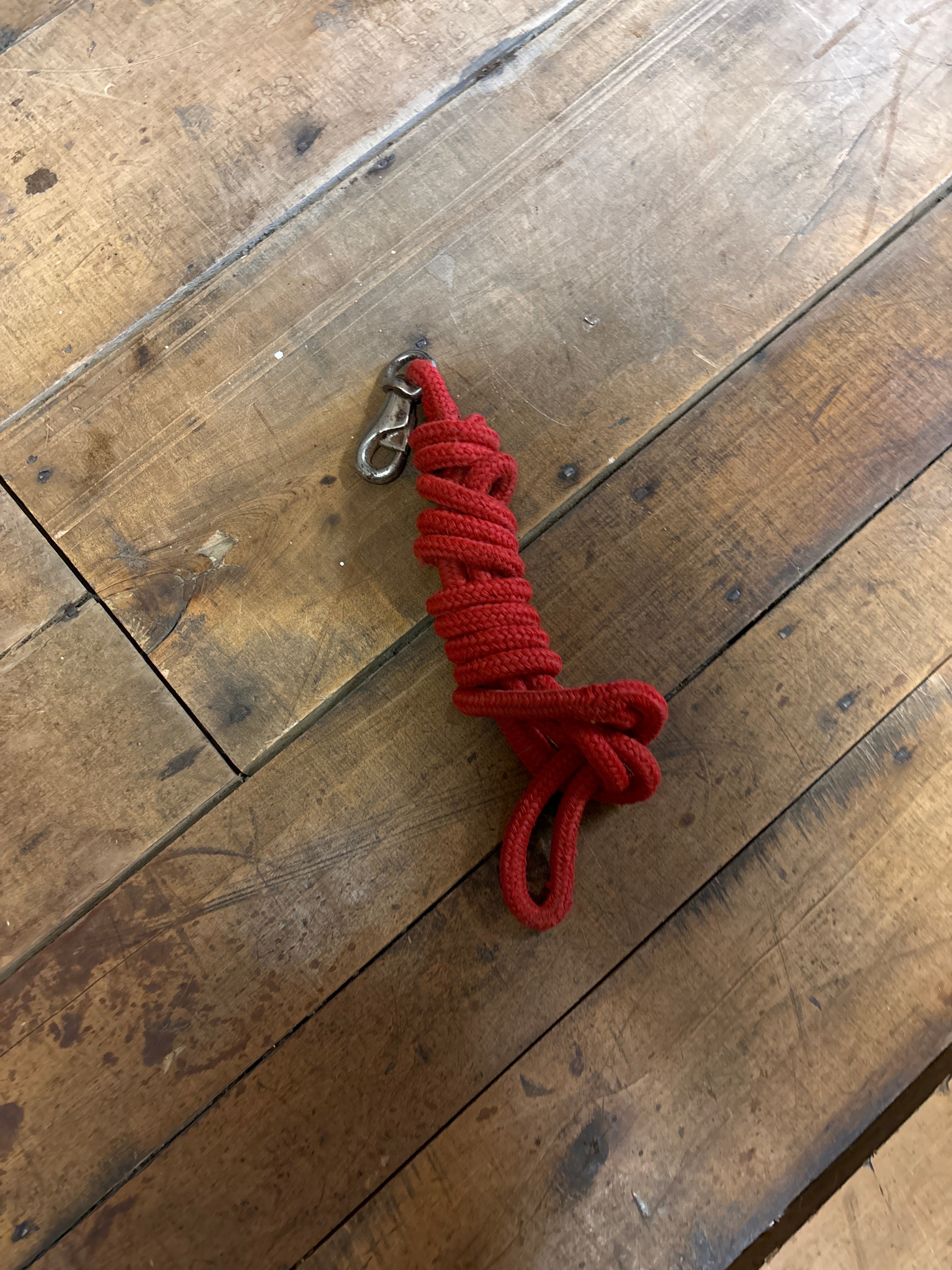 12’ Lead Rope-Red – The Tack Attic